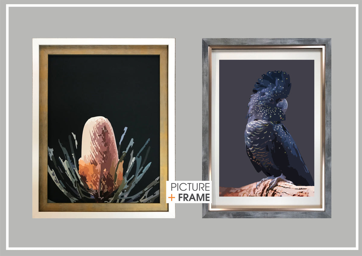Frame Stacking – Picture and Frame