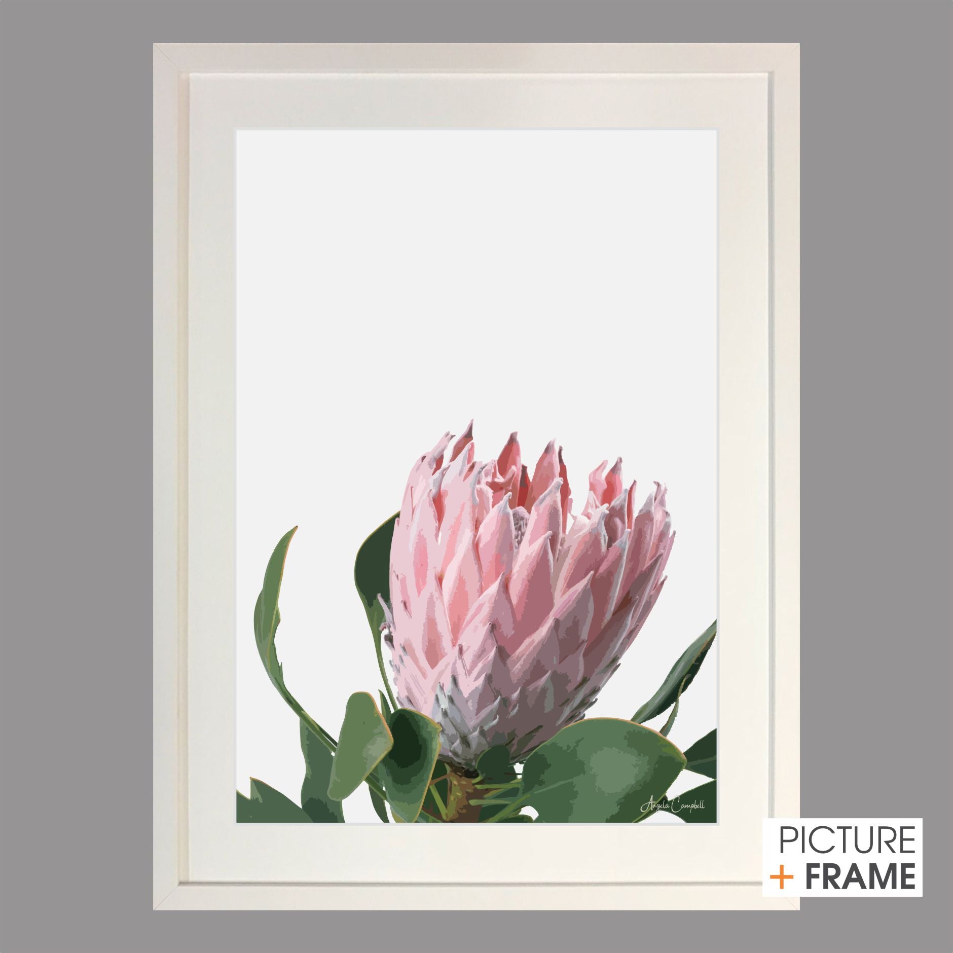 Subtle Protea – Picture and Frame